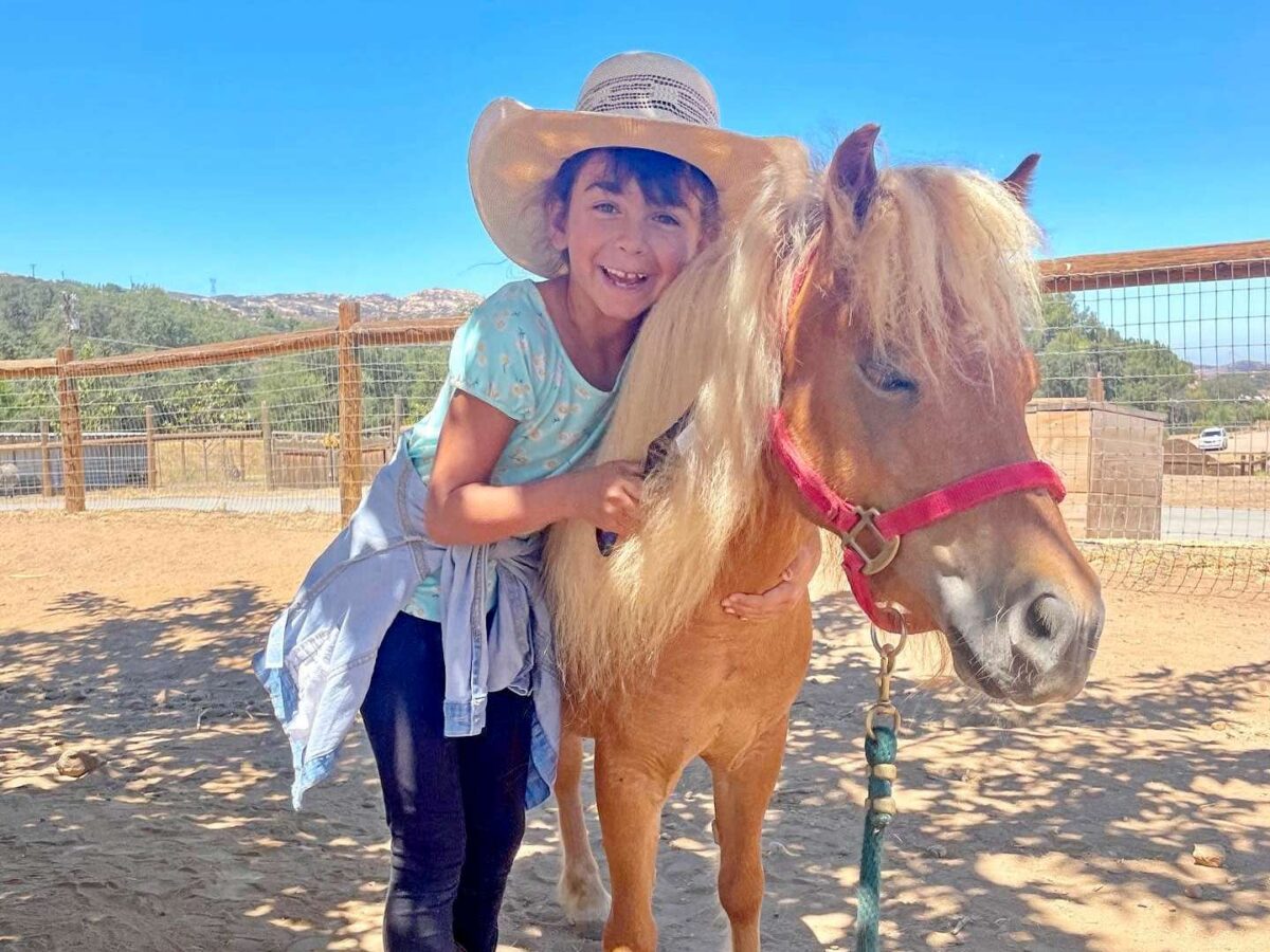 Home - Alpine Acres Sanctuary Farm™