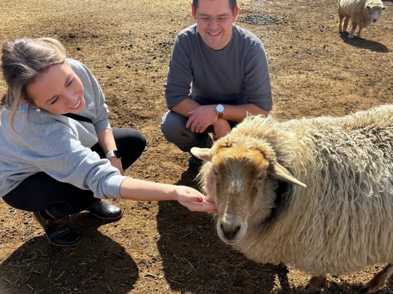 Home - Alpine Acres Sanctuary Farm™