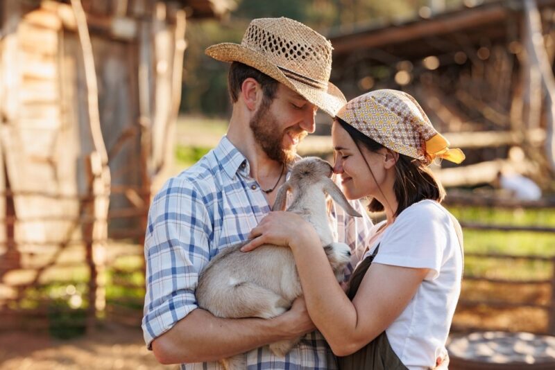 How Interacting with Farm Animals Can Improve Mental Health